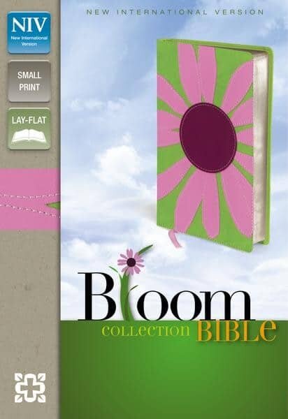 NIV Bloom Compact Bible S/S | Bible Society of Ghana